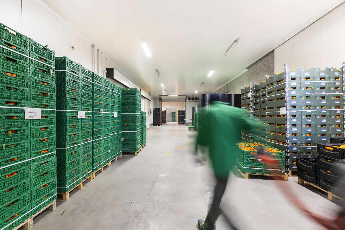 Logistics – Agrofruit