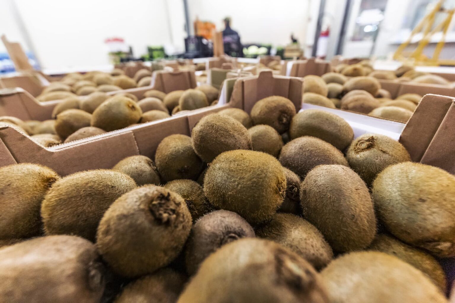 Quality fruits and vegetables – Agrofruit